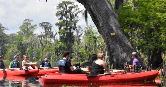 Manchac Mystic Wildlife Kayak Tour | Honey Island Swamp Kayak Tours
